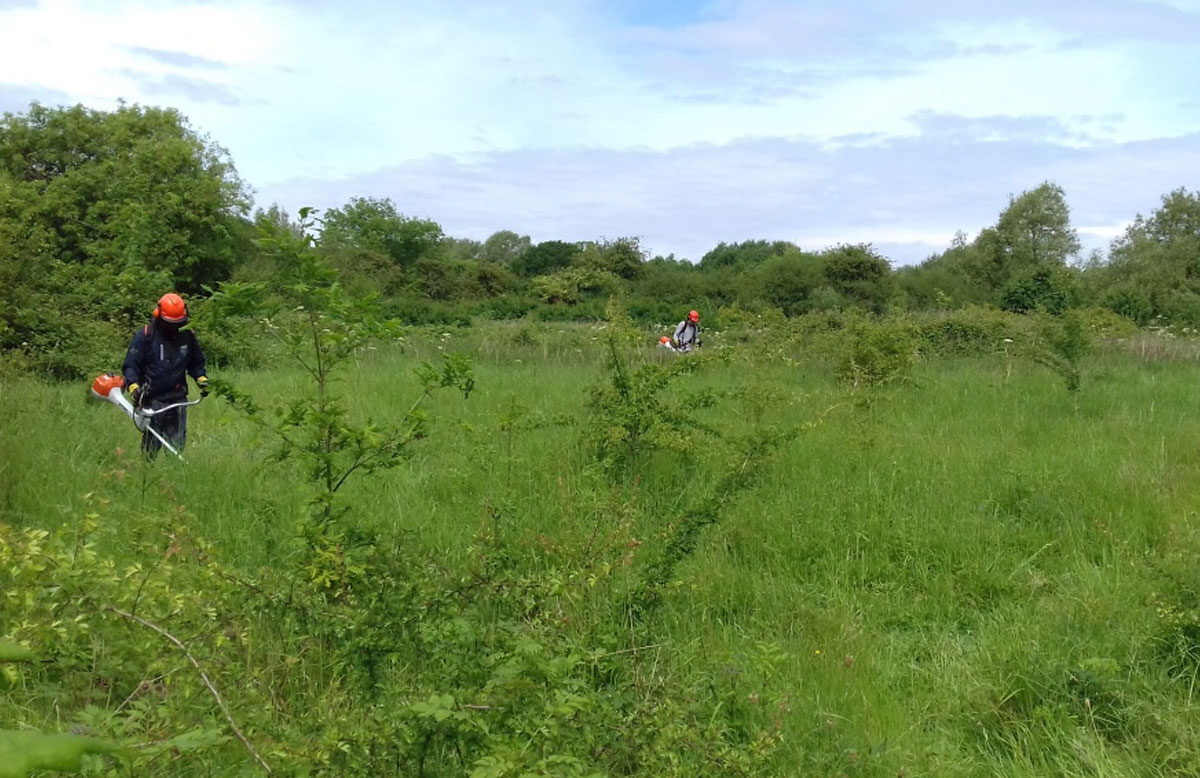 Dunsmore Living Landscape | Projects | Ryton Village Meadow Clearing